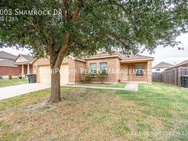 4 BR, 2 BA Apartment 6003 Shamrock Dr, Killeen, TX 76549
