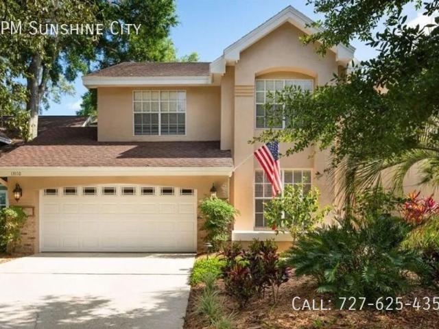 4 BR, 3.5 BA Apartment 13110 Greengage LN, Tampa, FL 33612