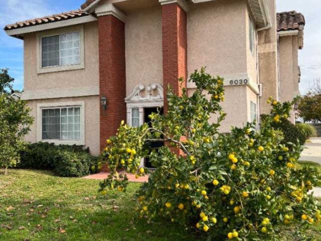 4 Br, 3 bath, Townhouse/Brownstone/RowHouse 6030 Camellia Ave