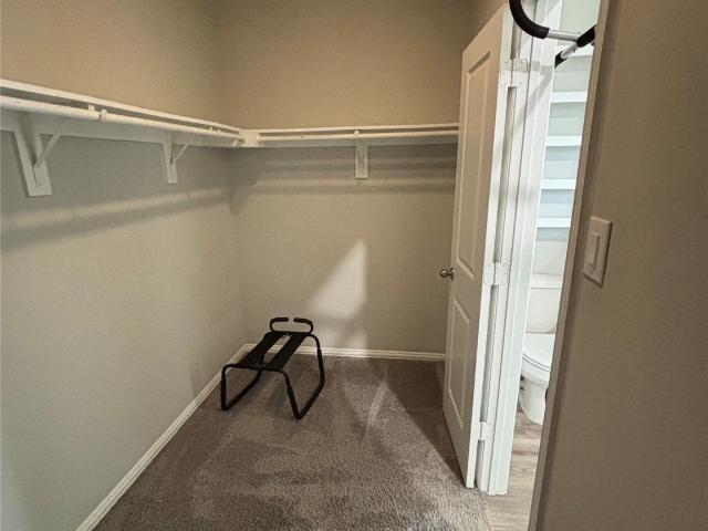4 BR, 3 BA Apartment 3734 Bach Street, Rosharon, TX 77583