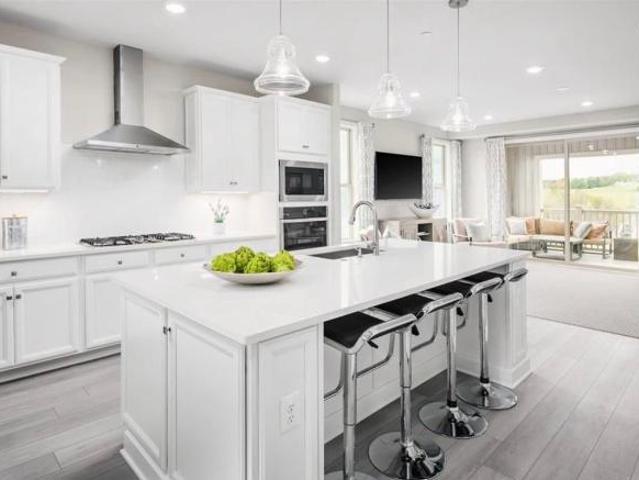 4 Br, 4 bath, Townhouse/Brownstone/RowHouse 1207 Gunboat Dr