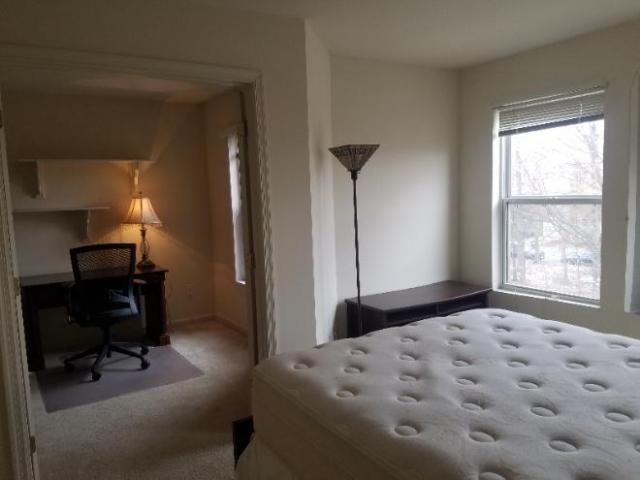 4 Br, 4 bath, Townhouse/Brownstone/RowHouse 1703 Blue Flint Court