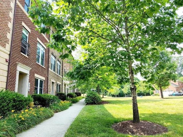 4 Br, 4 bath, Townhouse/Brownstone/RowHouse 342 White Ash Pl