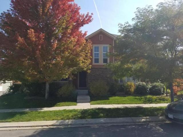 4 Br, 4 bath, Single Family Home 2370 Windmill Dr