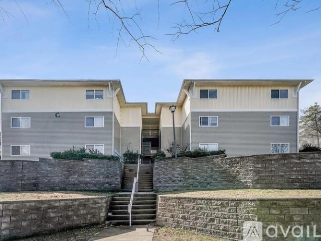 4 BR, 4 BA Apartment 303 Smith Level Road, Unit C31, Chapel Hill, NC 27516