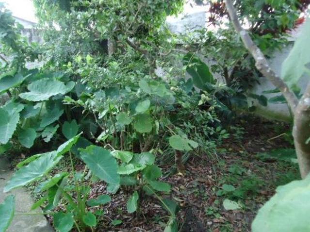 4 CASAS INVESTIDOR SP CAPITAL
