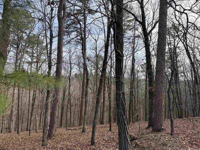 4 Cavalier Ct, Little Rock, AR 72223