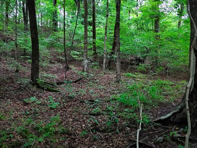 4 Cedar Hill Rd