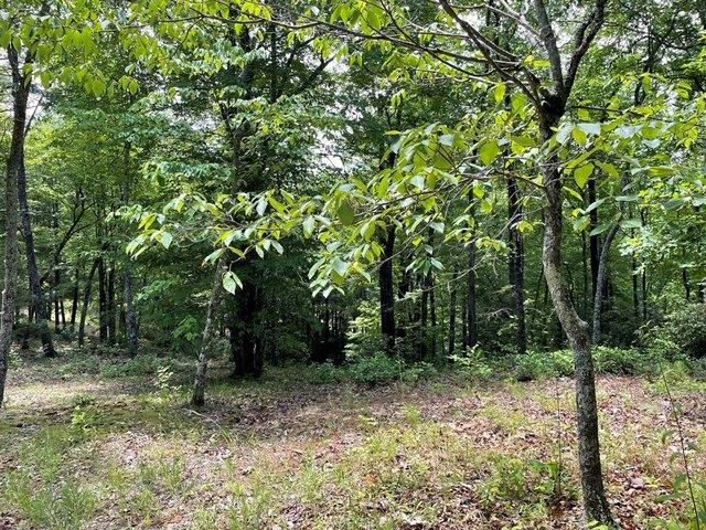 4 Collett Woods Trl Lot 4, Andrews, NC 28901