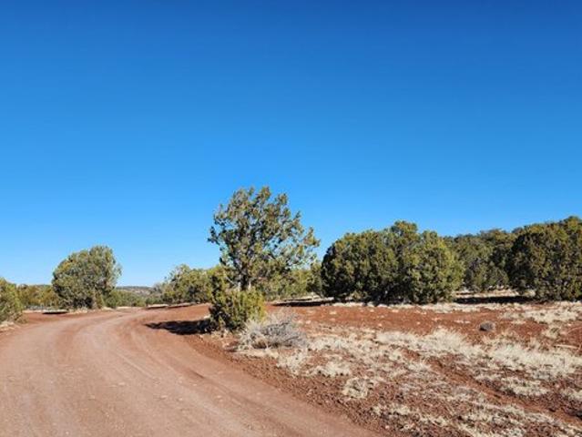 4 County Line R # N8715, Concho, AZ 85924