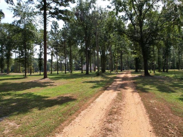 4 County Road 3545, Joaquin, TX 75954 | MLS #20745