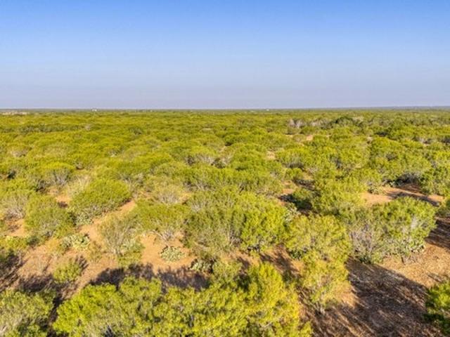 4 County Road 331 W, Jourdanton, TX 78026