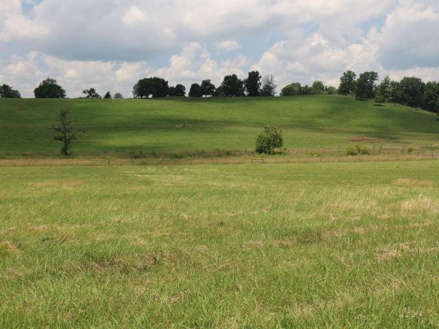 4 County Road 461