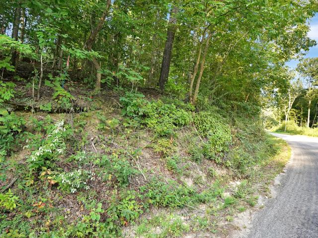 4 Cox Hollow Road
