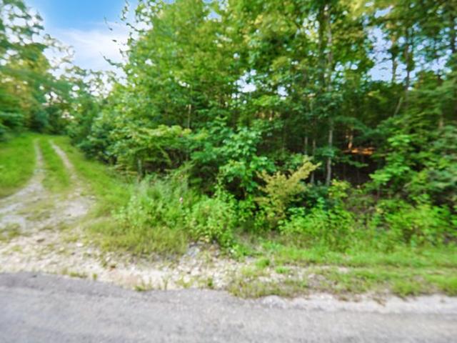 4 Cox Hollow Rd, Dover, TN 37058