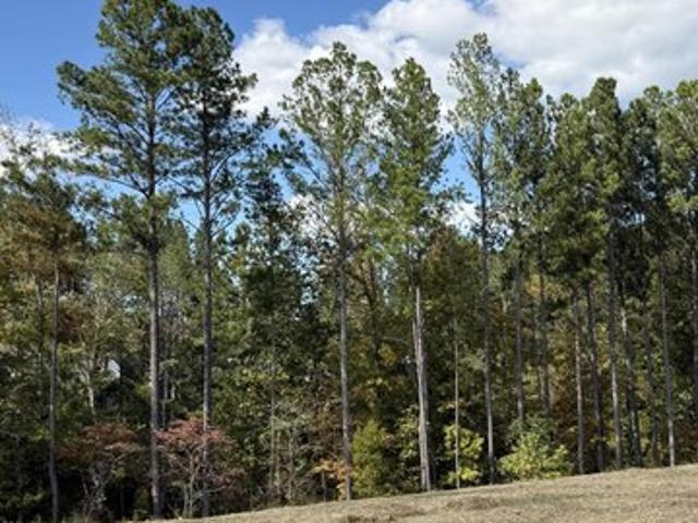 4 Creekwood, Cleveland, TN 37312