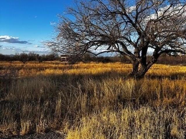 4 DE Anza Ln Unit 70, Tubac, AZ 85646