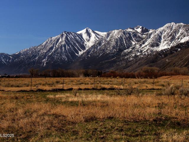 4 Deerhaven, Genoa, NV 89411 | MLS #250052 | Compass