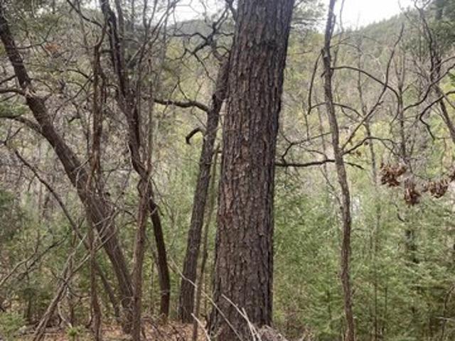 4 Devils Tower Ln, High Rolls Mountain Park, NM 88325