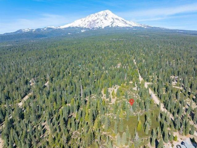 4 E 18 Ridge Dr, McCloud, CA 96057