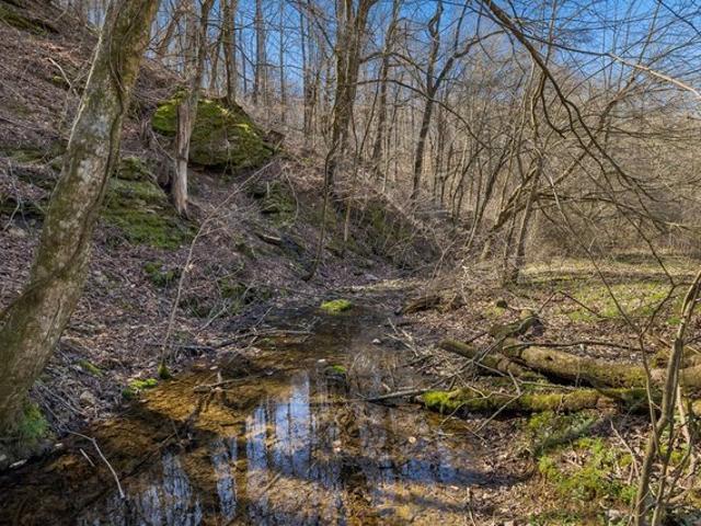 4 Enterprise Rd, Mount Pleasant, TN 38474