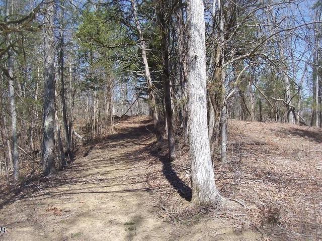4 Flat Creek Rd