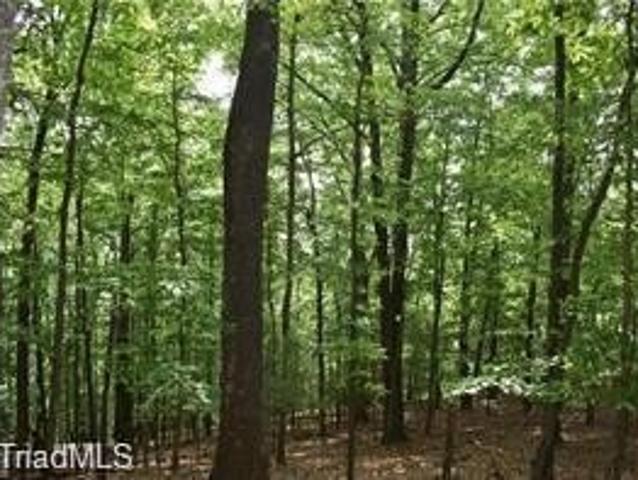 4 Greenstreet Dr, Traphill, NC 28685