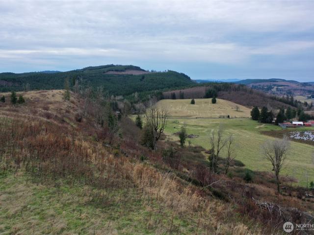 4 Hagen Rd, Mossyrock, WA 98564 | MLS #2549