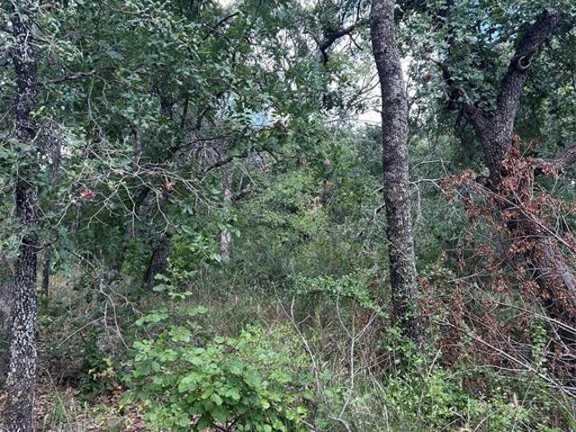 4 Haynie Dr, Runaway Bay, TX 76426 | MLS #21201