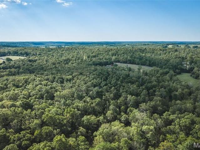 4 Highway FF, Edgar Springs, MO 65462