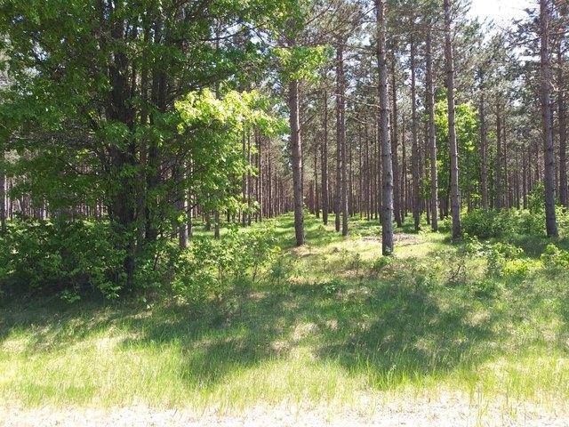 4 Hidden Trl Unit 4, Nekoosa, WI 54457