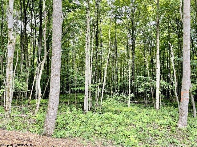 4 Holleran Hts, Kingwood, WV 26537