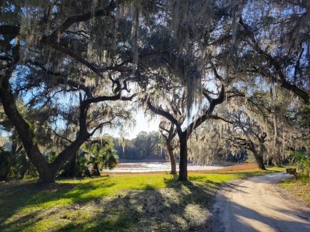 #4 Ii 10Ac NE 127th St, Fort Mc Coy, FL 32134