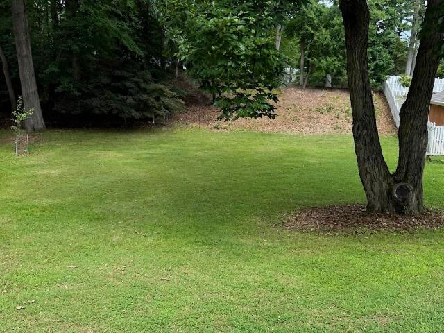 4 June Place