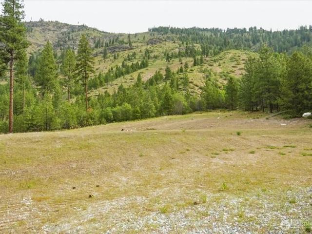 4 Ln Lot Mossback, Entiat, WA 98822