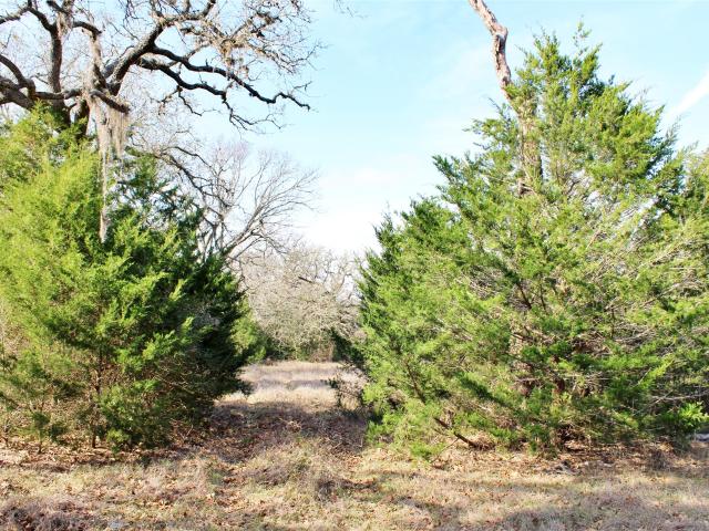 4 Lobo Ln, Columbus, TX 78934 | MLS #98830 | Compass