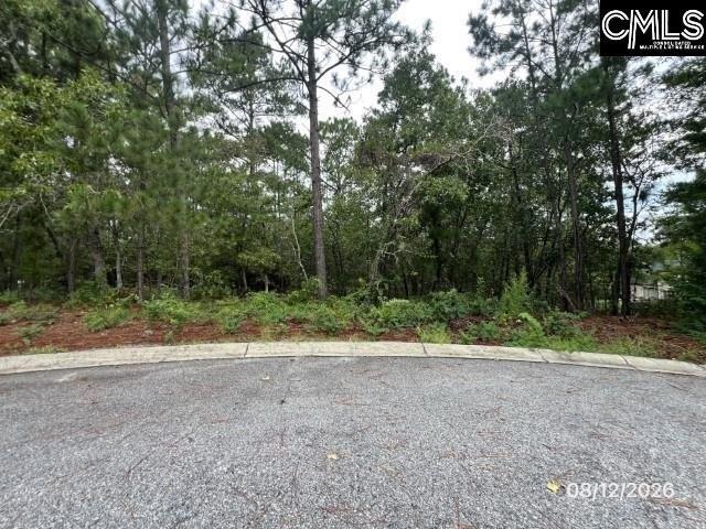 4 Lost Dog Ct, Elgin, SC 29045