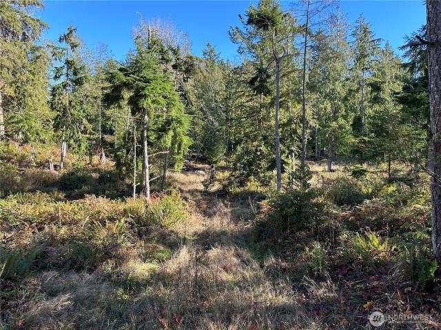 4 Lots Lilypad Place E