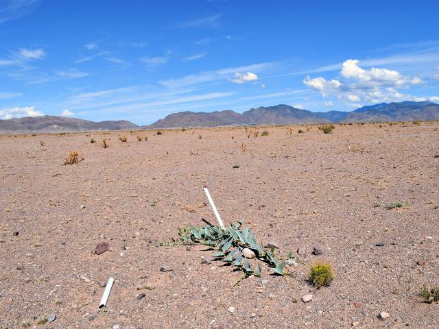 4 Lots Rolling Hills
