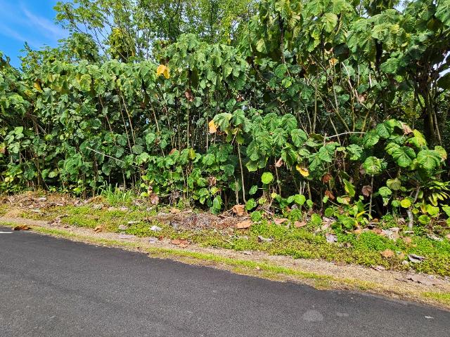 4 Papai St, Pahoa, HI 96778 | MLS #724739