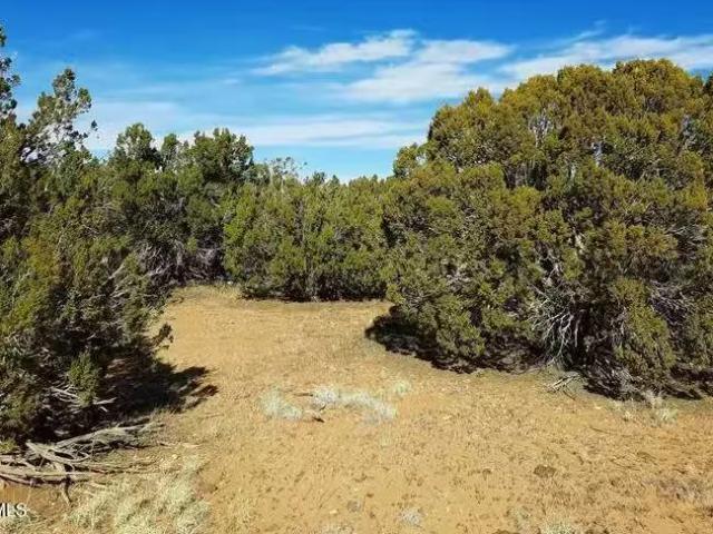 4 Parcels N Shady Oak /10+acres #C, D, E, F, Show Low, AZ 8.
