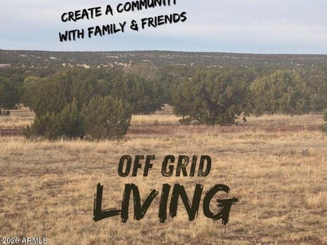 4 Parcels N Shady Oak 404 005 Rd E Unit D, Show Low, AZ 85901