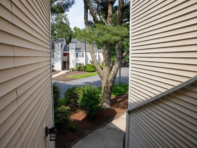 4 Pheasant Meadow Dr