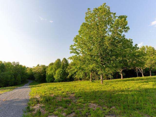 4 Pinewood Road