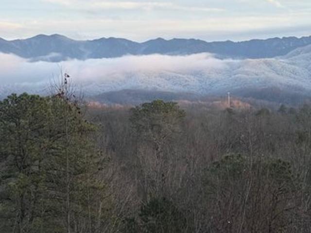 4 Powdermill Rd, Gatlinburg, TN 37738