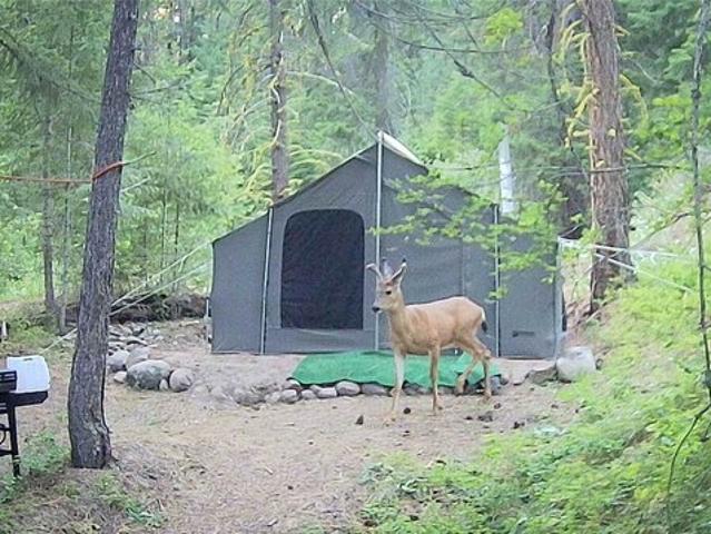 4 Red Bridge Rd Lot 4C, Cle Elum, WA 98922