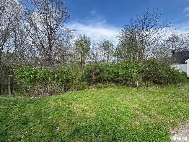 4 Riverwood Dr, Rochester, IL 62563