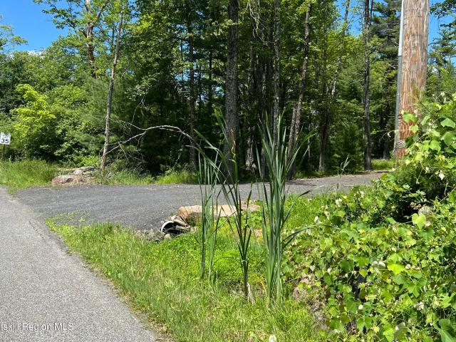 4 Rockaway Rd, Accord, NY 12404 | MLS #20260 | Compass