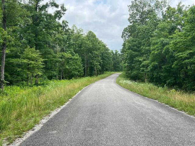 4 Slaughter Rd, Primm Springs, TN 38476 | MLS #3071
