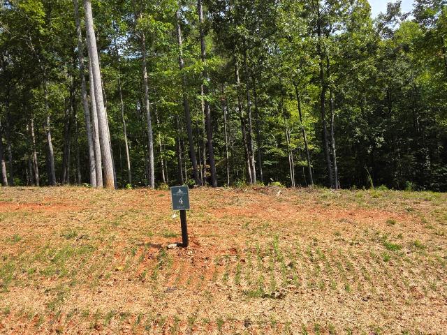 4 Springfield Pkwy, Ellijay, GA 30540 | MLS #10682